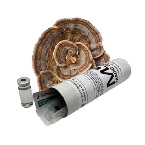 Buy Liquid Mushroom Spores Online USA - Magic Spore Labs