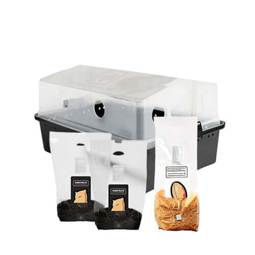 Buy Liquid Mushroom Spores Online USA - Magic Spore Labs