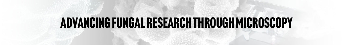 Buy Mushroom Spores Online USA - Magic Spore Labs